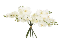 Phalaenopsis Orchid, Drop In, Flower Bouquet – ROOST Design Hale